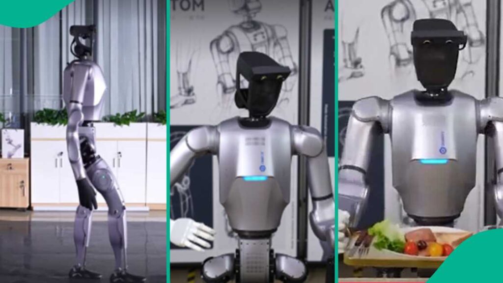Video emerges of Chinese scientists building robot that can cook food ...